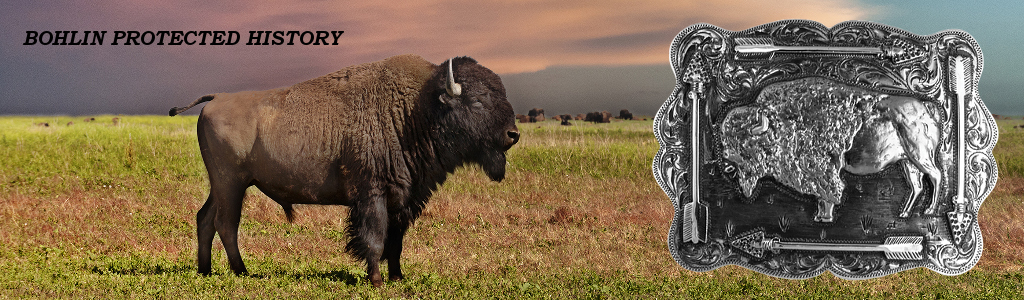 Westernshop.be – Un site utilisant WordPress